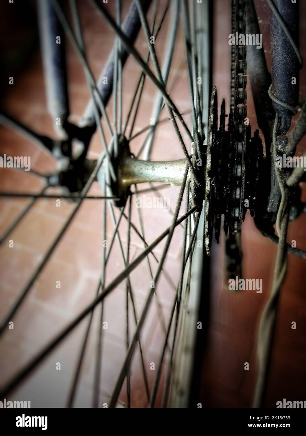 A selective focus shot of the rear end of bicycle Stock Photo - Alamy