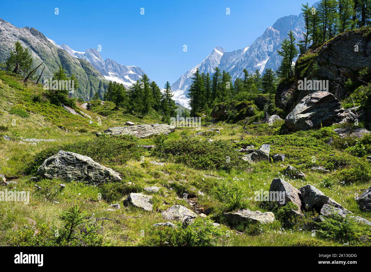Hinten im Lötschental ob der Fafleralp in der Gemeinde Blatten am 19.07 ...