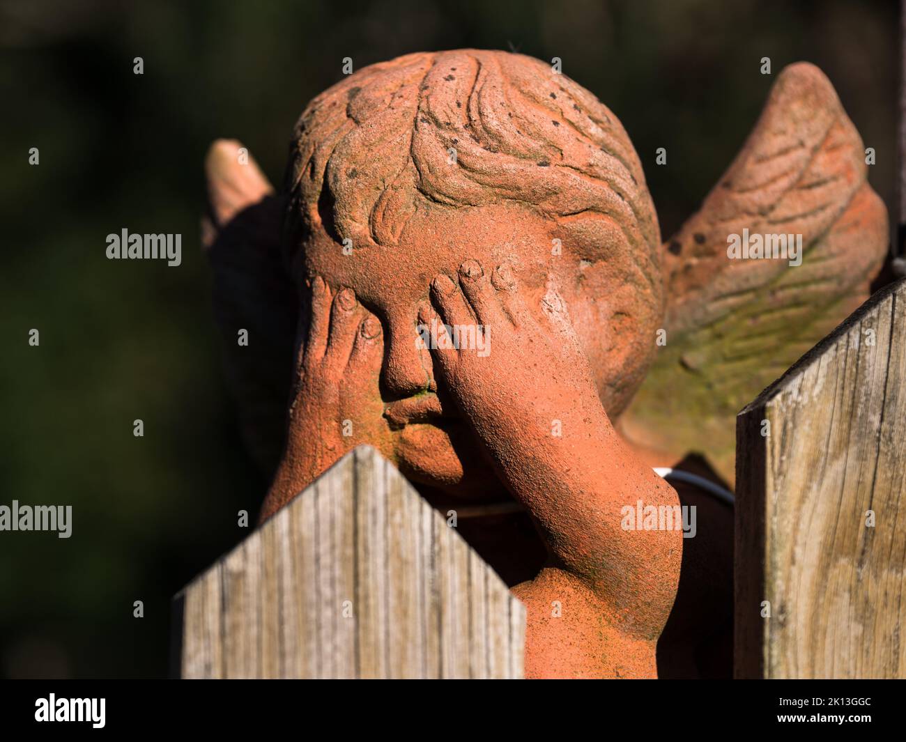 In Burgdorf am 30.12.2021. *** Local Caption *** Close eyes, Burgdorf ...