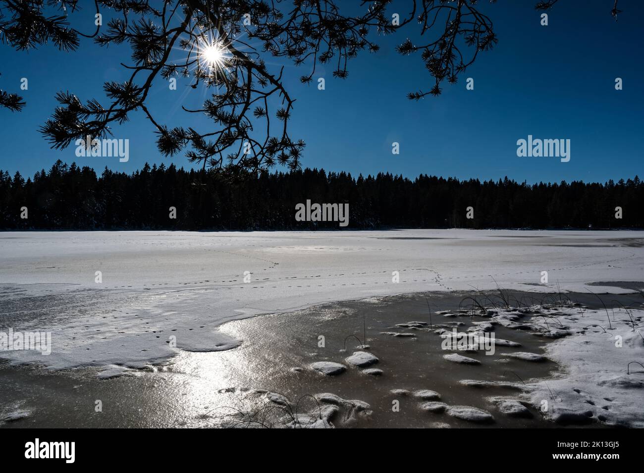 Etang de gruere winter hi-res stock photography and images - Alamy