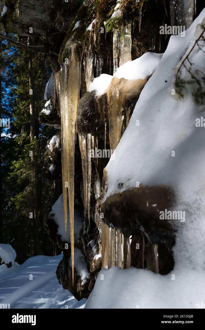 Auf dem Weg zum Grüneberg-Pass im Innereriz, Gem. Eriz, am 13.01.22 ...