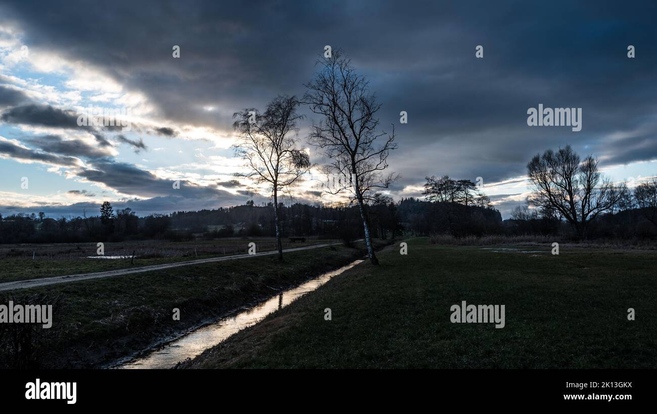 Im Naturschutzgebiet Wengimoos in der Gem. Wengi bei Büren am 20.01. ...