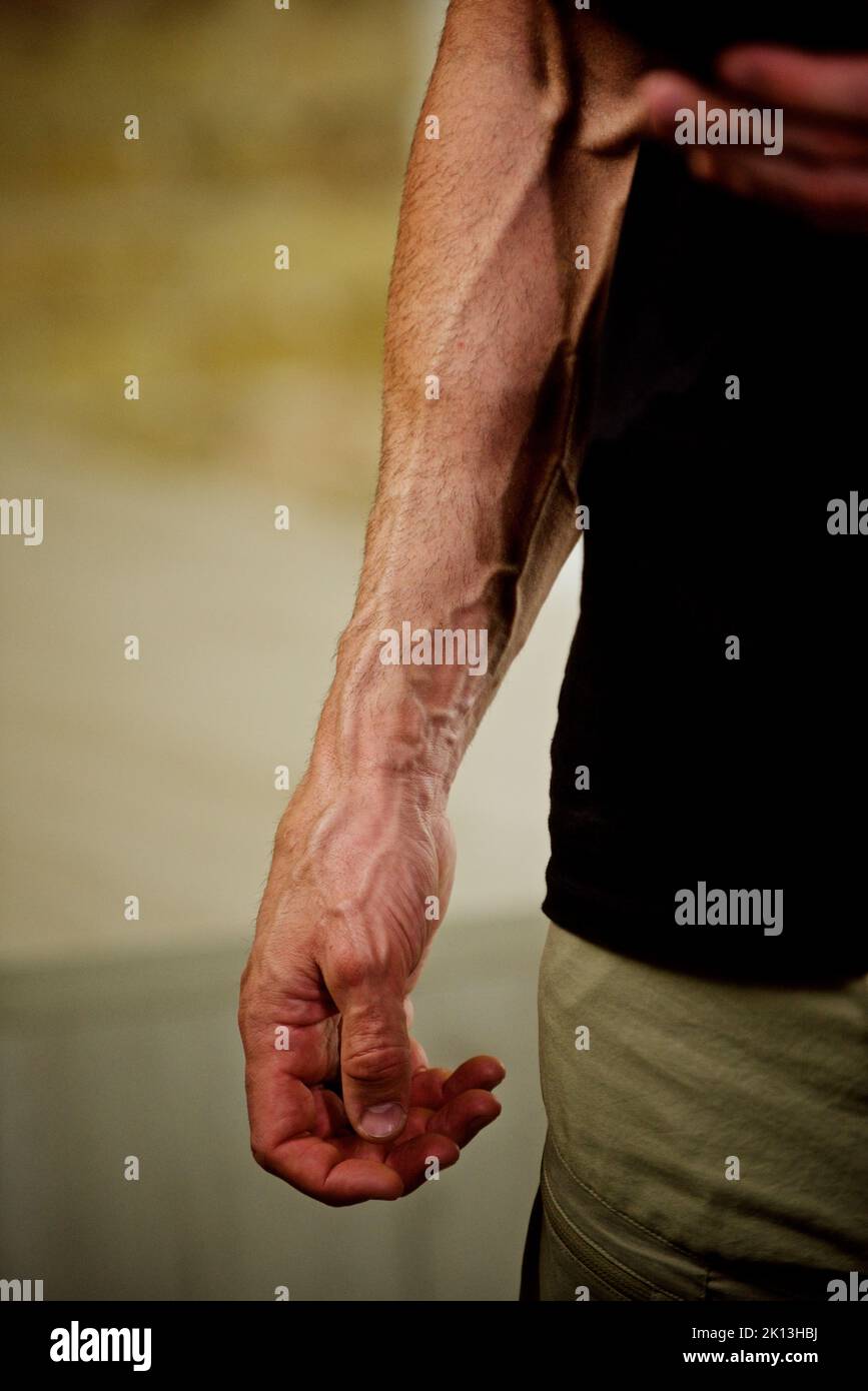 hand of Ukrainian boxer Volodymyr Klitschko Stock Photo - Alamy