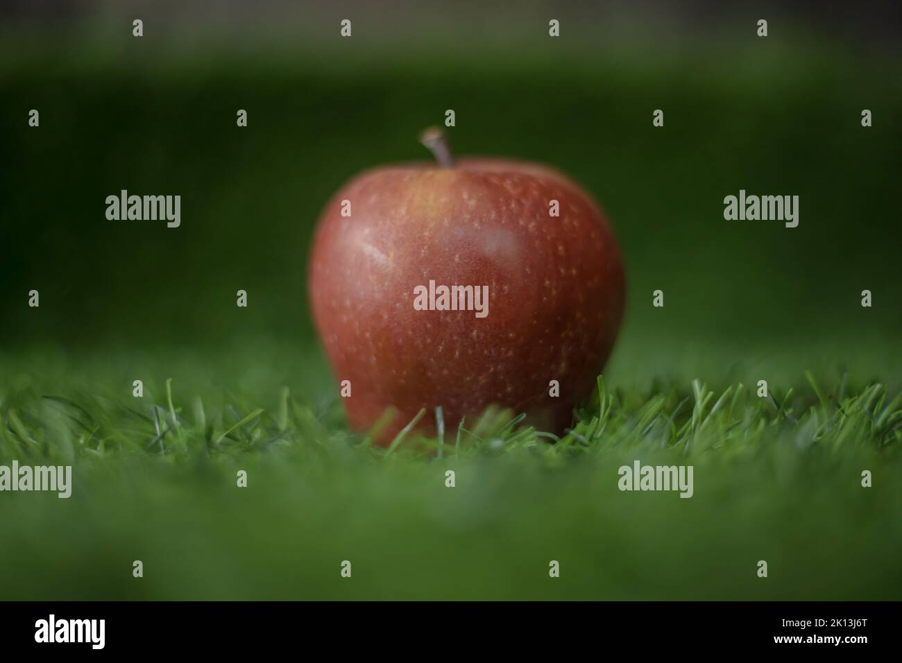 A closeup side view of a red apple on a green grass with a blur ...