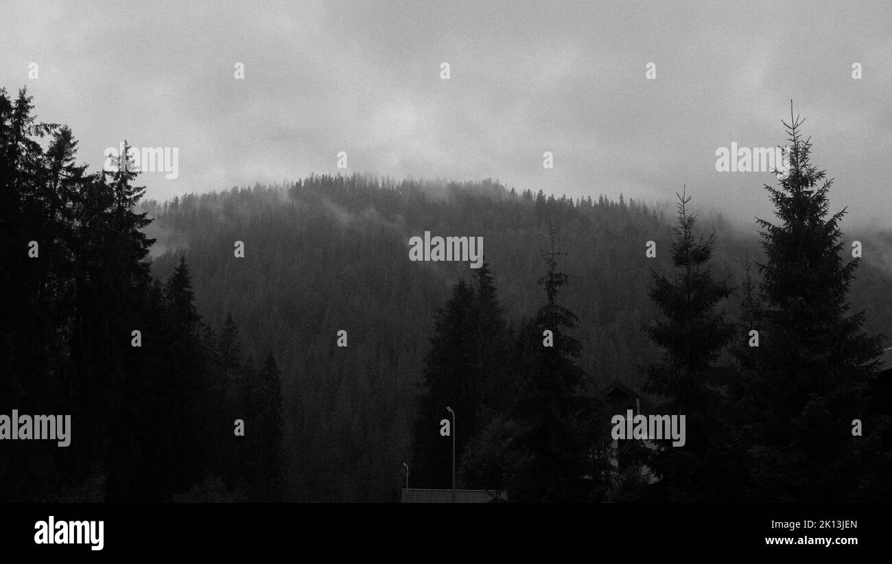 Winter forest hills landscape Black and White Stock Photos & Images - Alamy