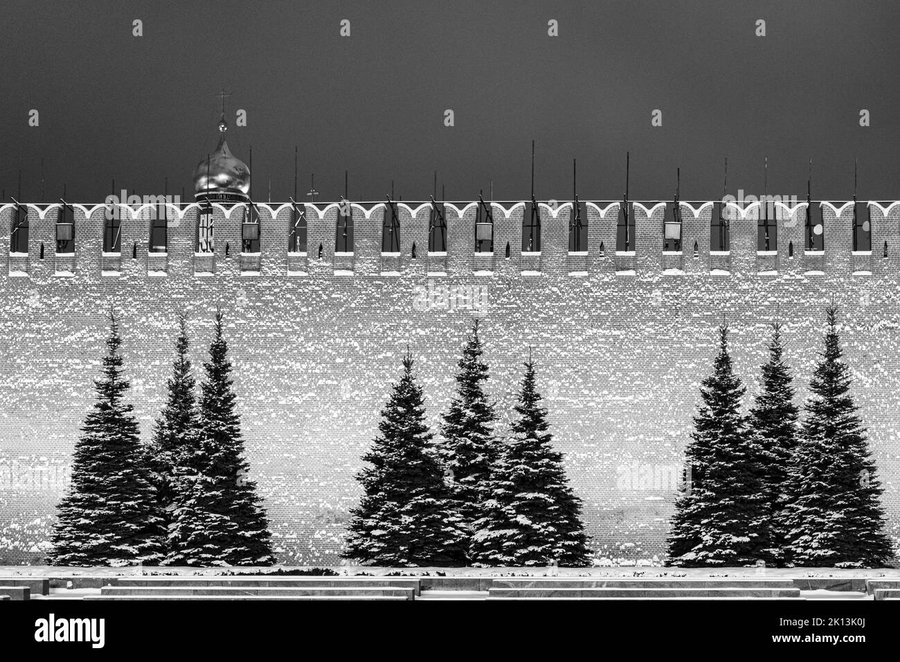 A group of Spruce trees covered in snow during nighttime Stock Photo ...