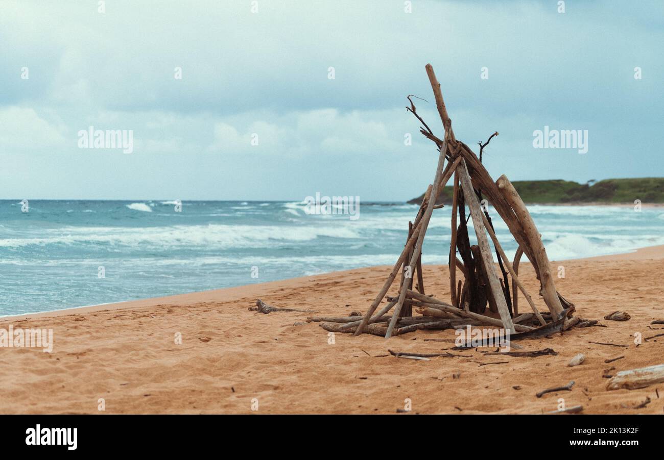 A pile of firewood on a beach near waves in Kauai, Hawaii Stock Photo ...