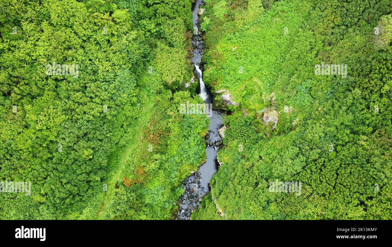 The Secret waterfall in Bedgaon, India flowing through lush greeen ...