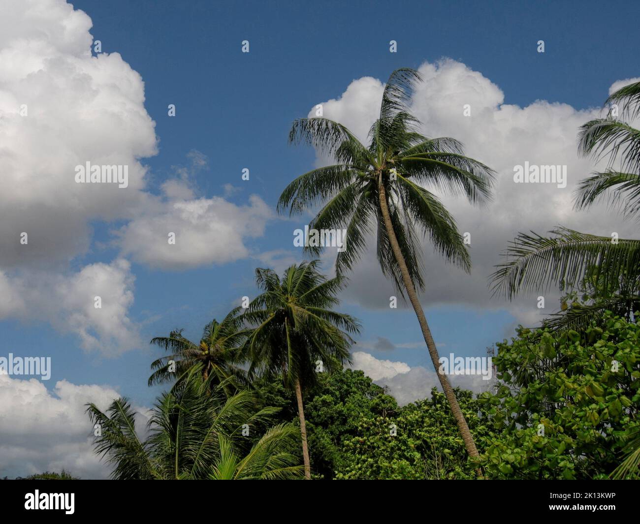 Malaysia perhentian island wave hi-res stock photography and images - Alamy