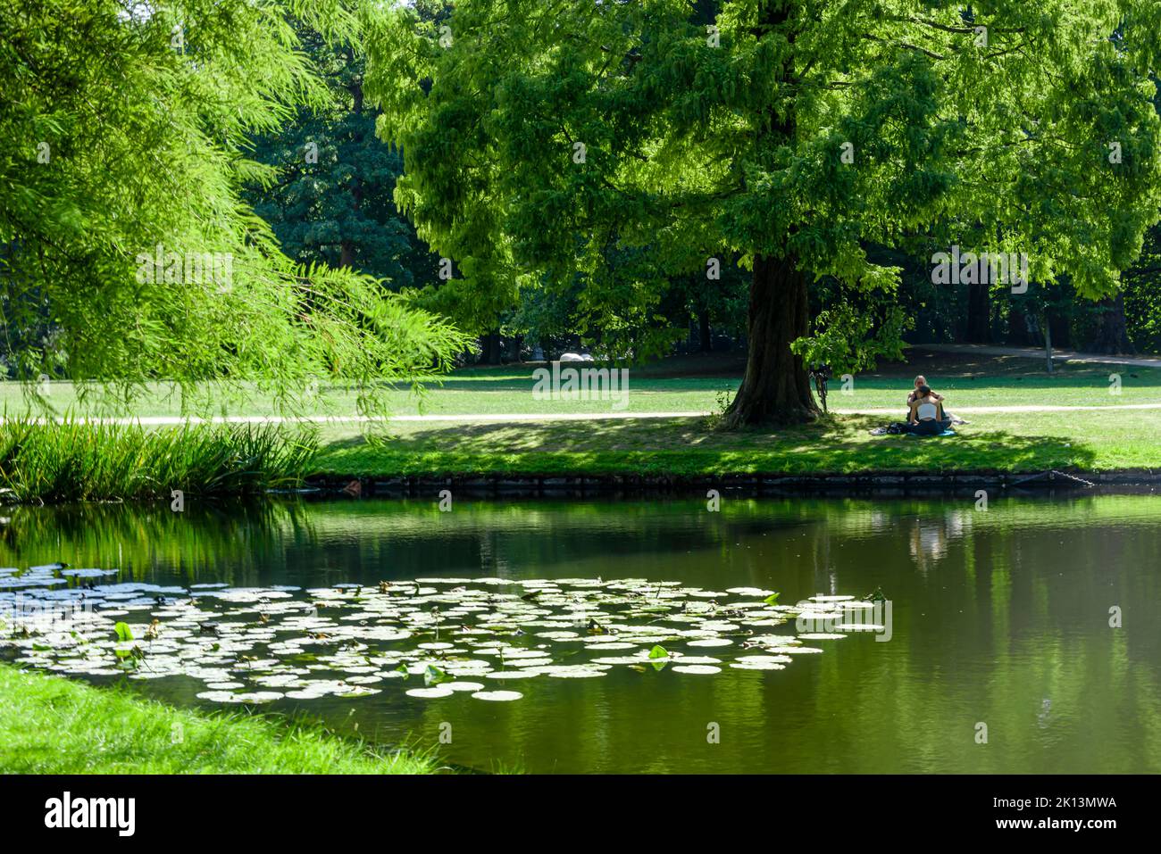 Two women relax underneath a tree beside a lake with water lilies, Het ...