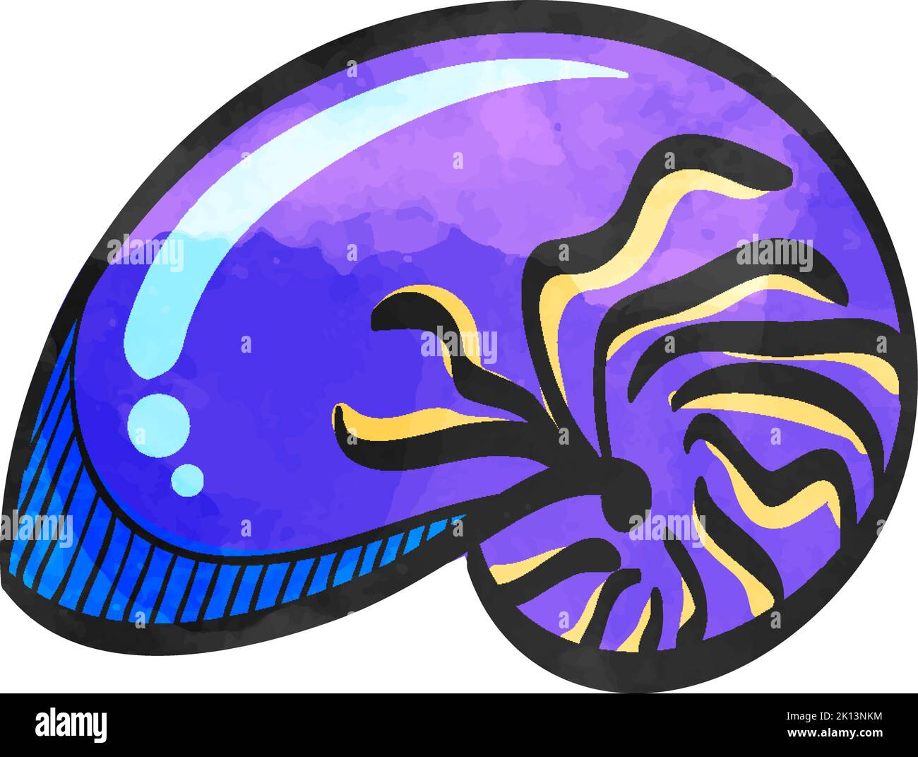 Nautilus in water Stock Vector Images - Alamy