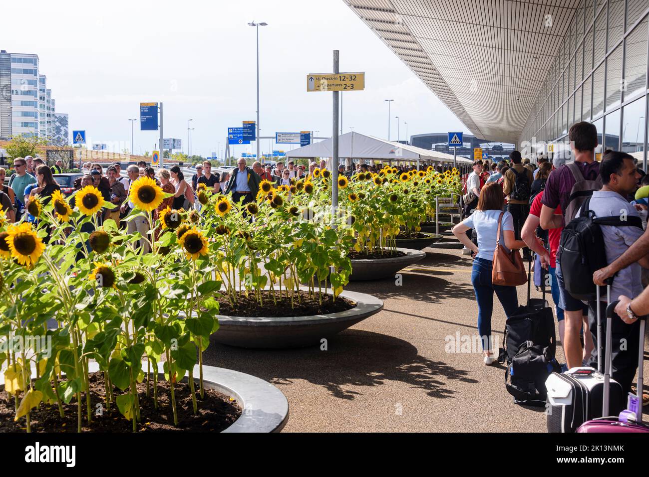 Very long queues of passengers waiting to get through security outside ...