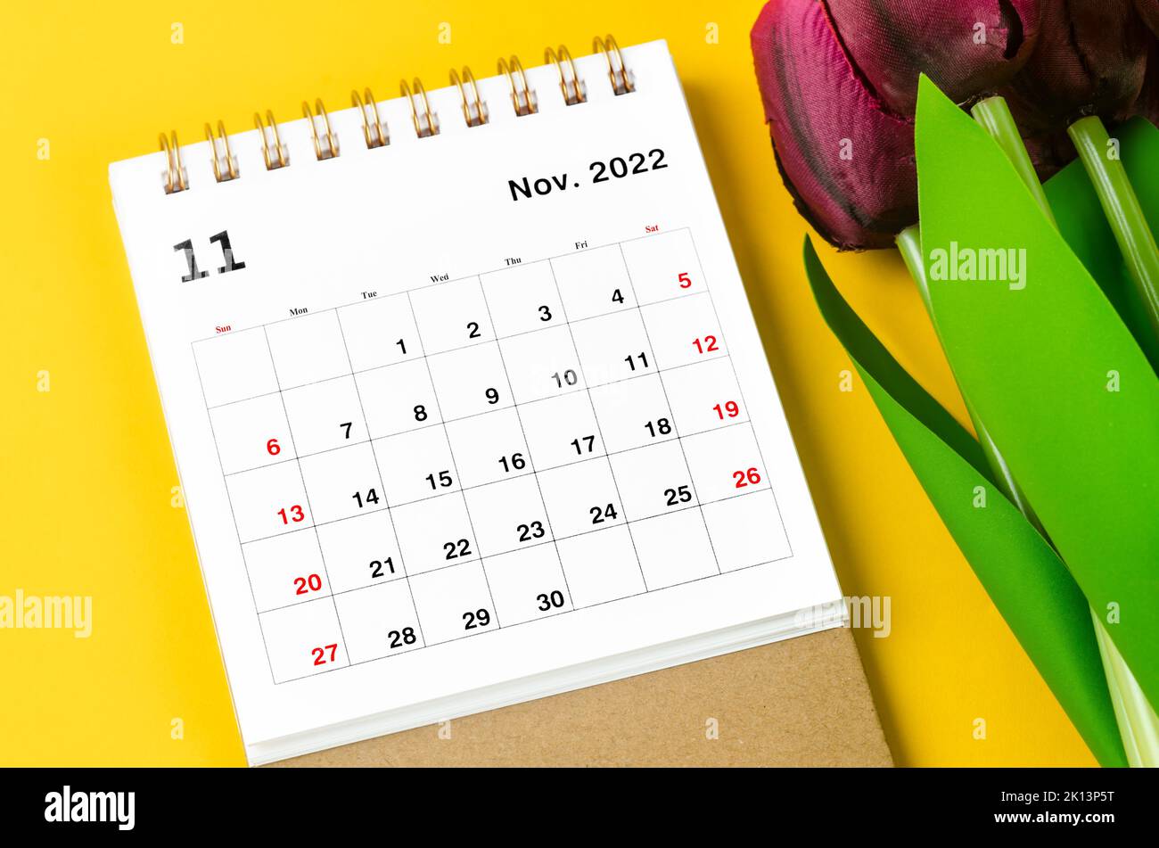 November 2022 Monthly desk calendar for 2022 year and red tulip on ...