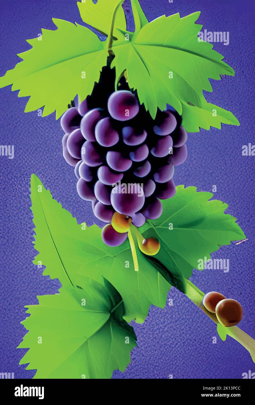 A bunch of grapes cartoon Illustration stock vector image Stock Vector ...