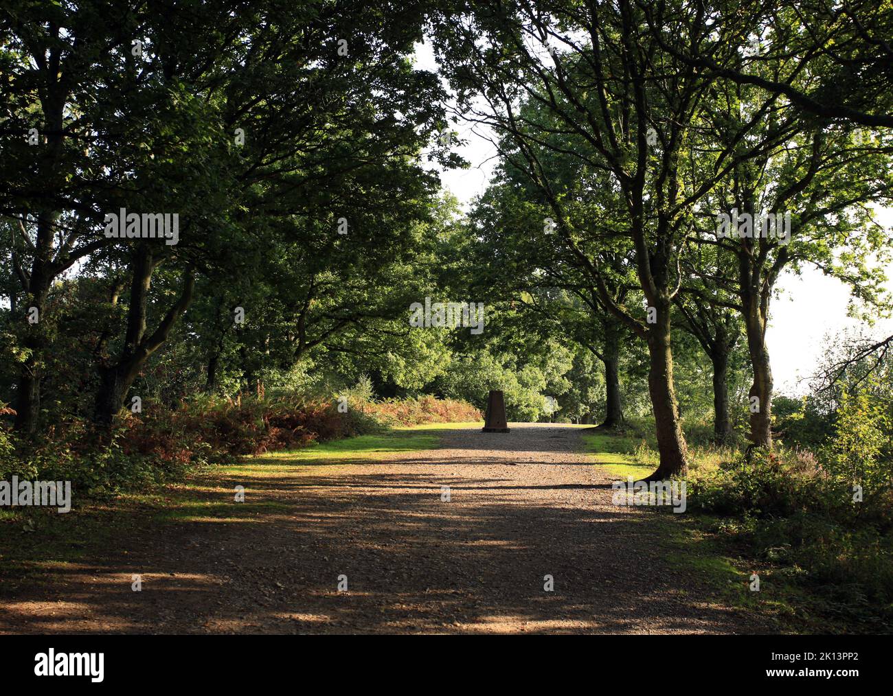 Public path on Kinver edge, Kinver, Staffordshire, England, UK Stock ...