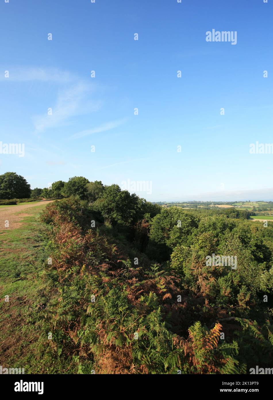 View from Kinver edge, Kinver, Staffordshire, England, UK Stock Photo ...