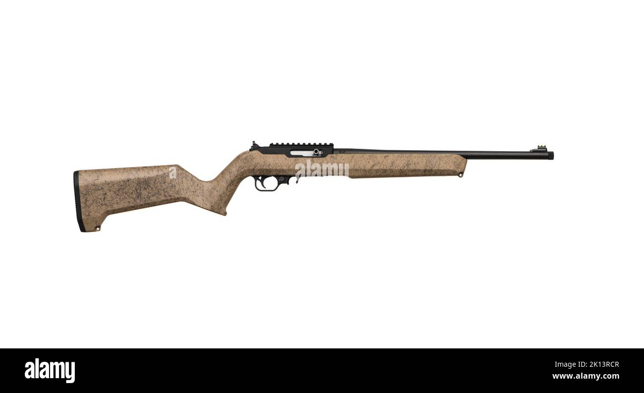 Modern semi-automatic small-caliber .22lr rifle. Sports carabiner with ...