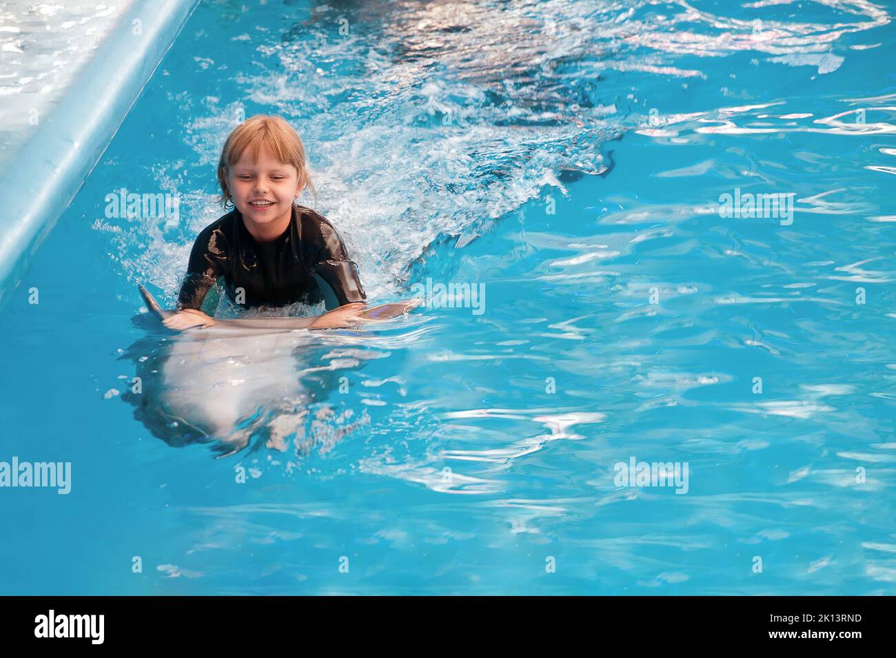 Dolphin belly hi-res stock photography and images - Alamy