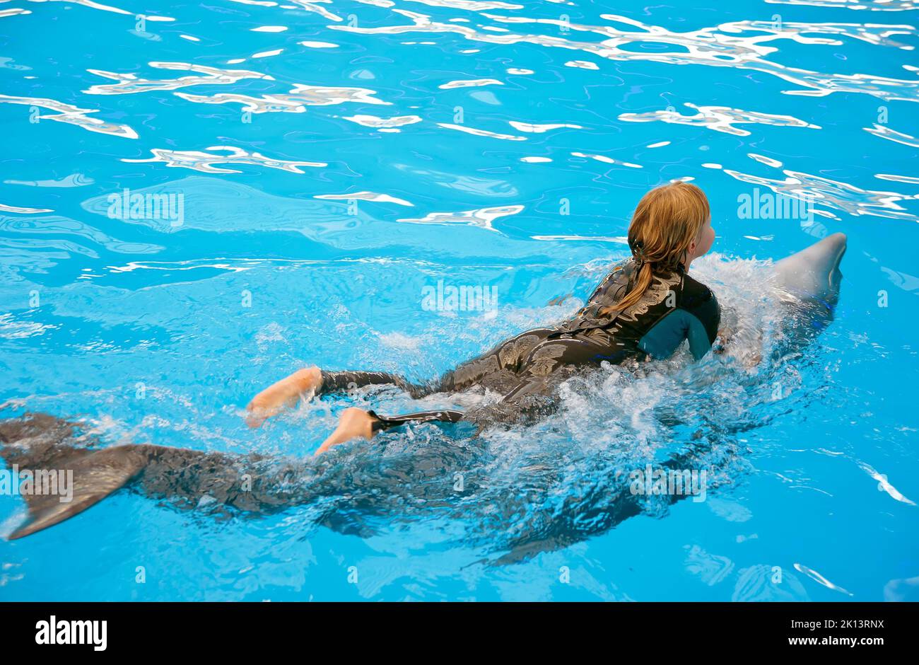 Dolphin belly hi-res stock photography and images - Alamy