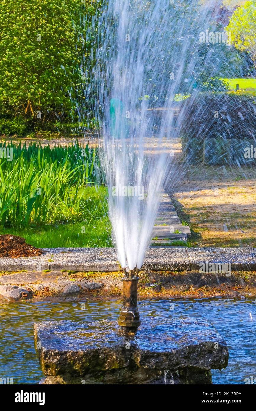 Fountain tall grass water and pond in a beautiful park at the Bederkesa ...