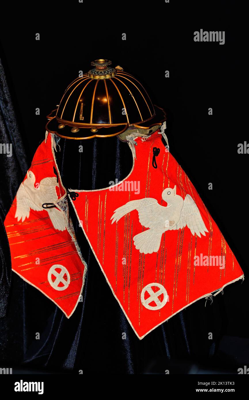 Helmet pigeon hi-res stock photography and images - Alamy