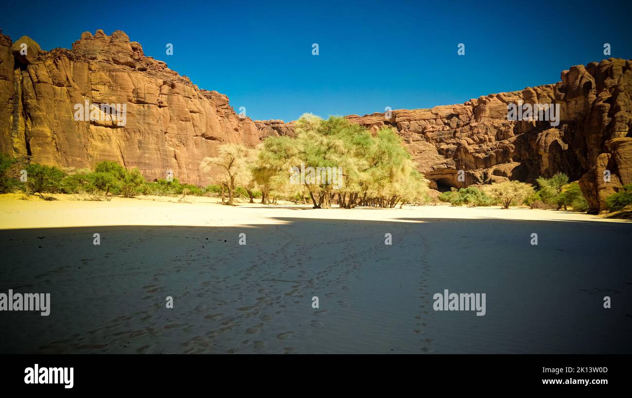 Panorama inside canyon aka Guelta d'Archei, East Ennedi, Chad Stock ...
