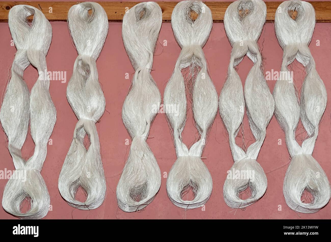 Drying silk filaments reeled Stock Photo - Alamy