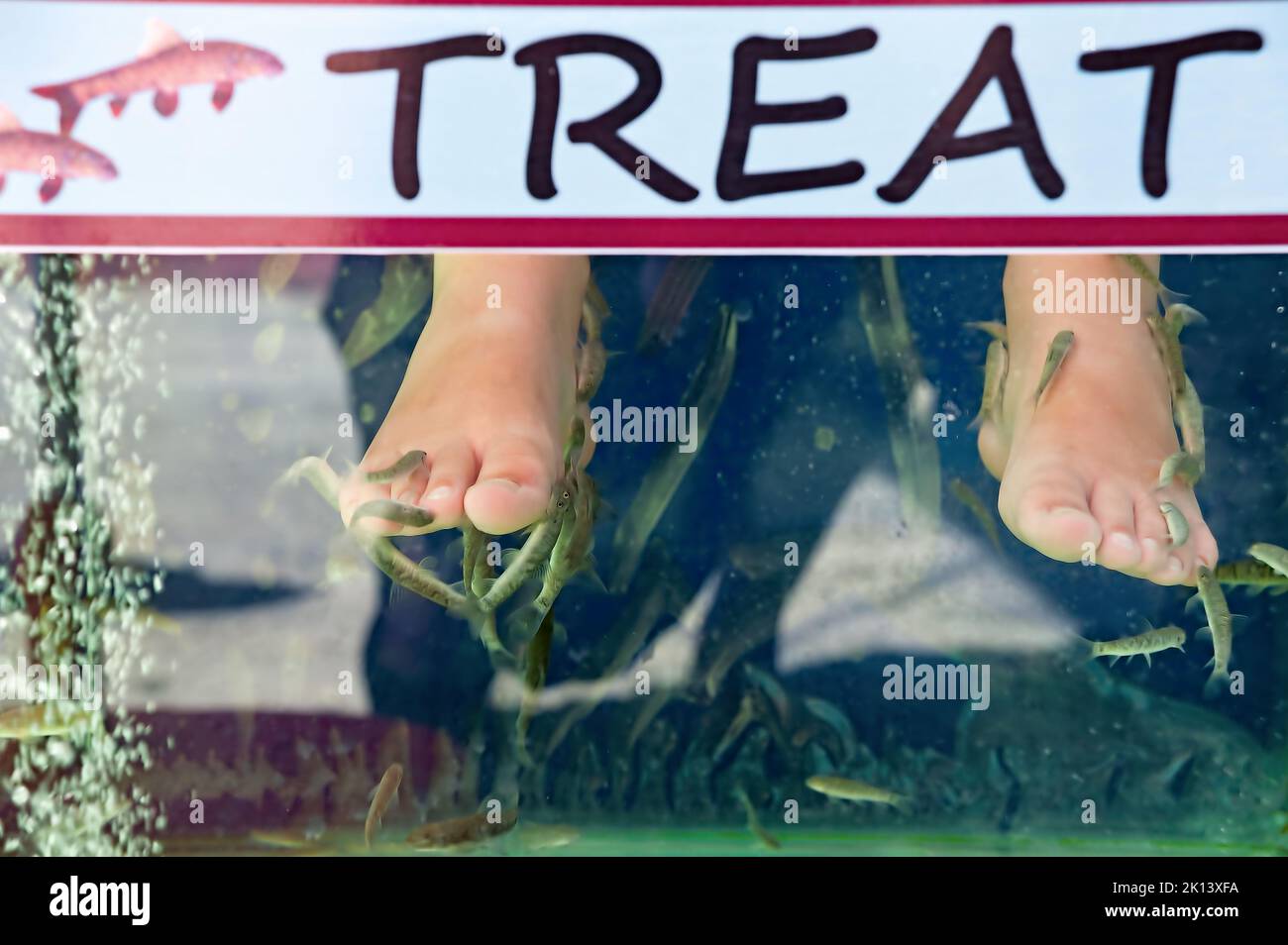 Doctor fish cleaning a bathers feet hi-res stock photography and images ...