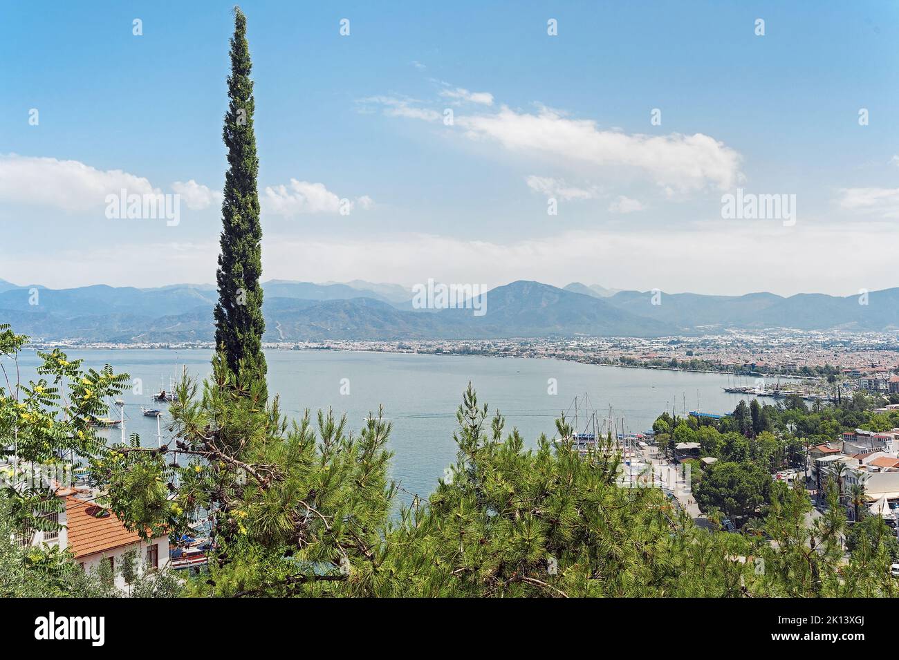 Tall tree and Fethiye landscape at background, Turkey Stock Photo - Alamy