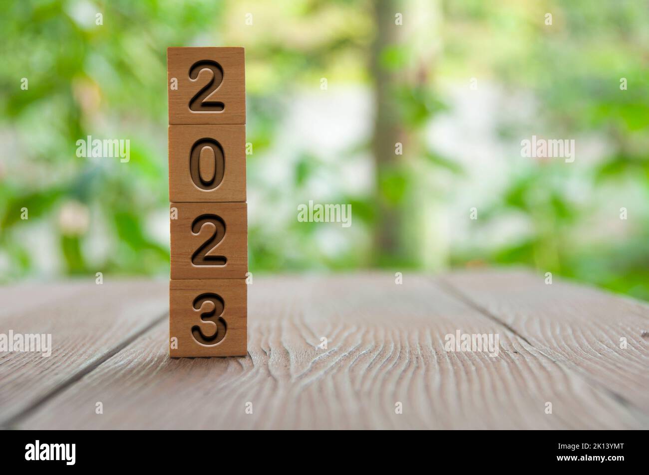 2023 text engraved on wooden blocks with blurred park background. New ...