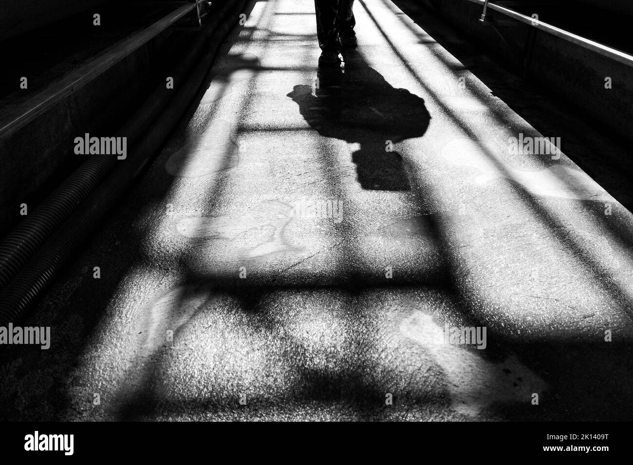 A concrete ground with a shadow of metallic stairs and a man coming ...