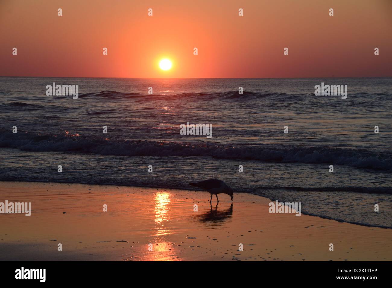 Long Beach Island Sunrise Stock Photo - Alamy