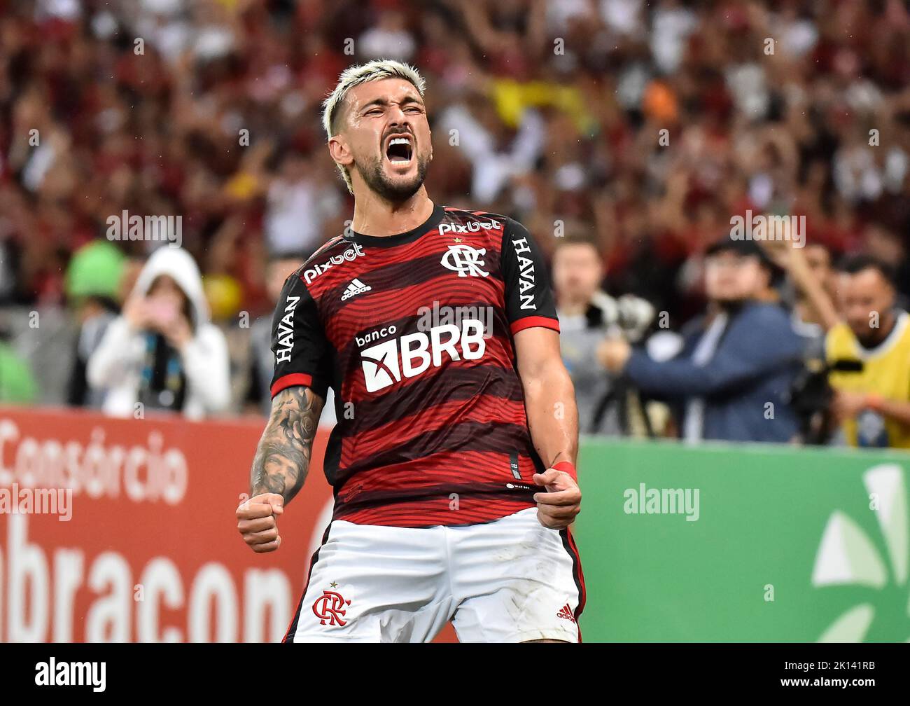 Rio de Janeiro-Brazil September 14, 2022, Flamengo Arrascaeta player ...