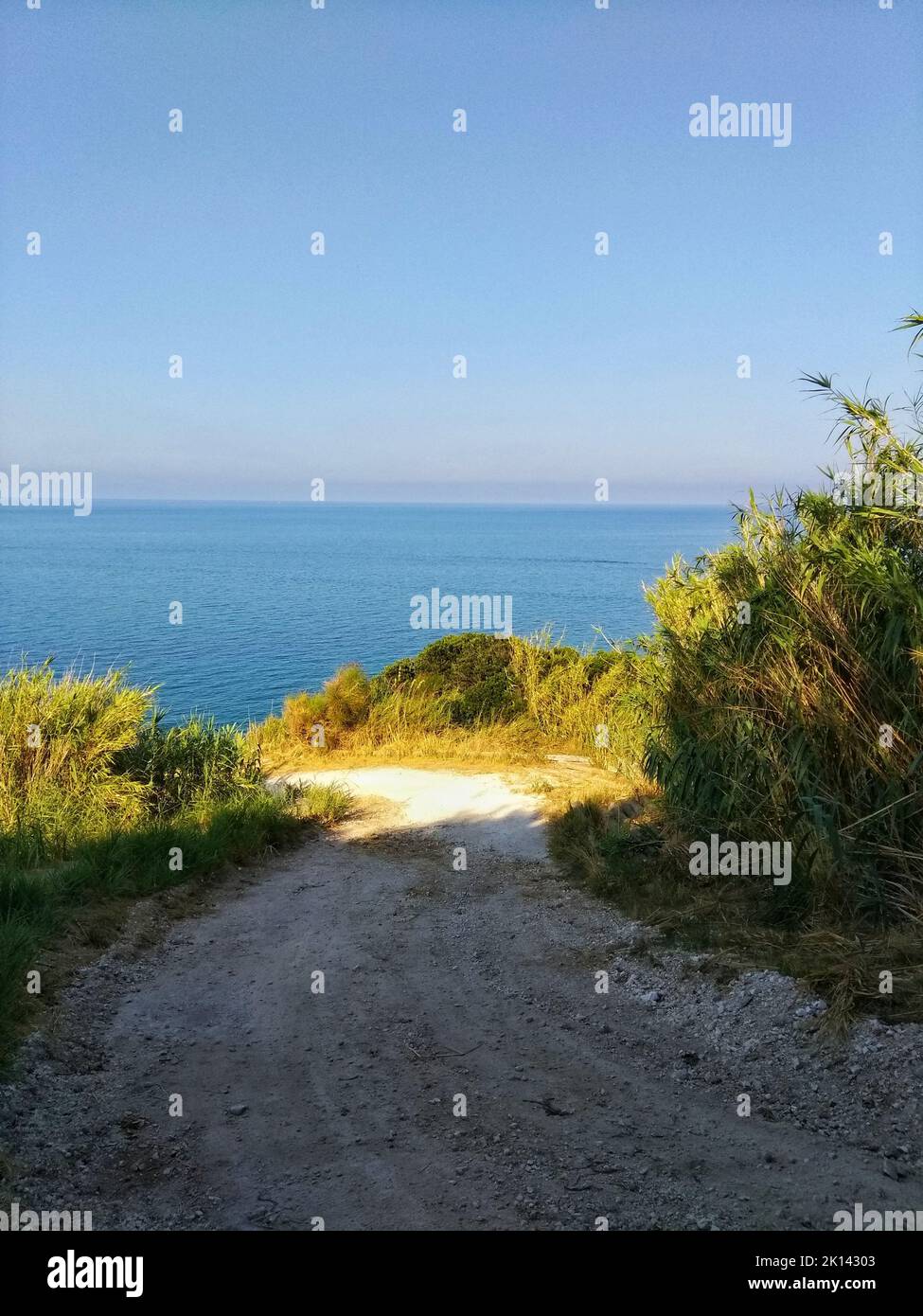 A vertical shot of a narrow path leading to the seashore Stock Photo ...