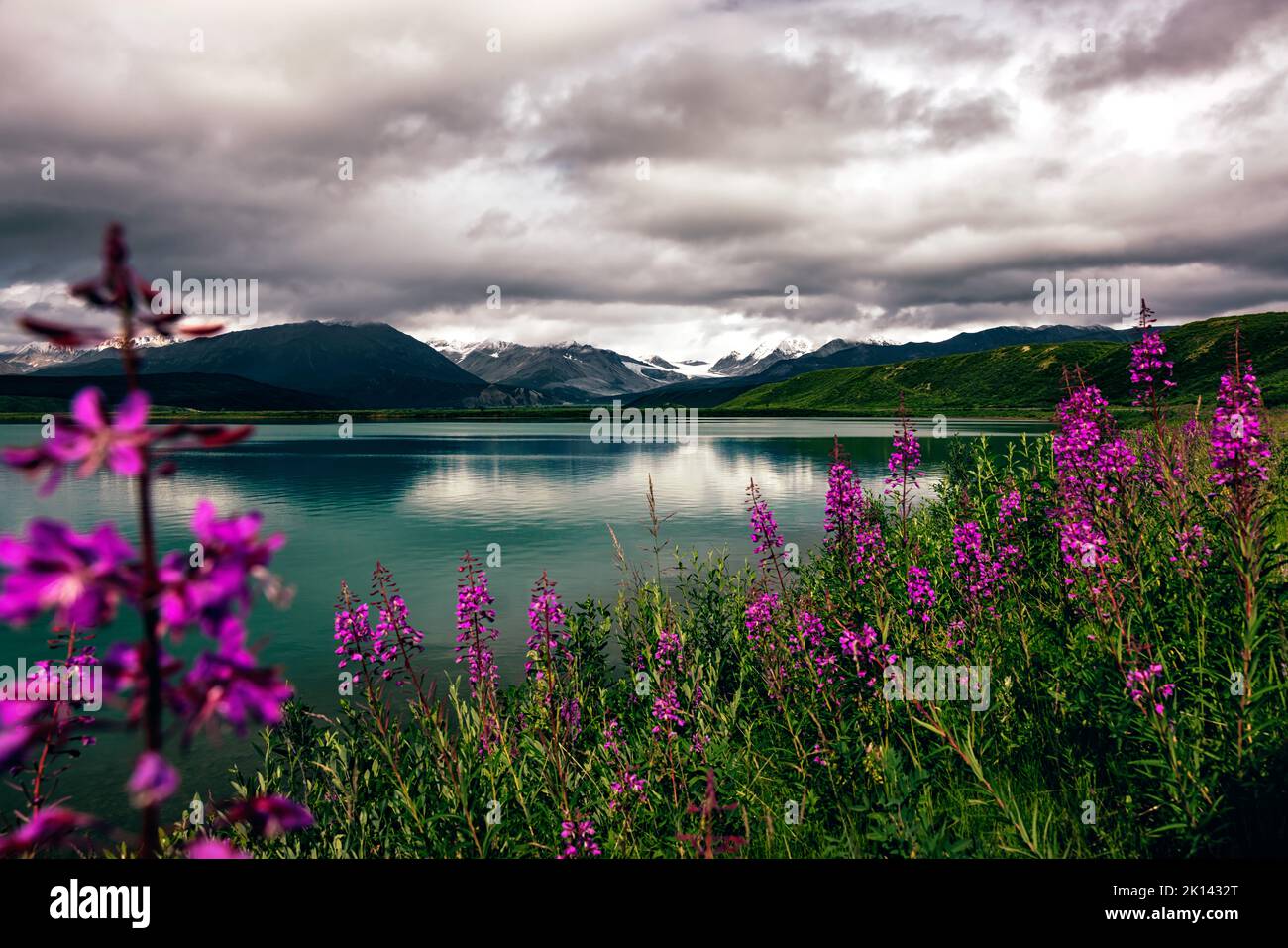 Summit Lake with lupins in front of the south flank of the eastern ...