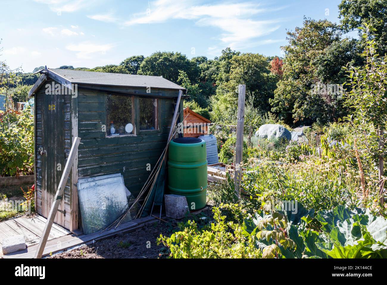 A garden shed on a council allotment in Crouch End, Haringey, London ...