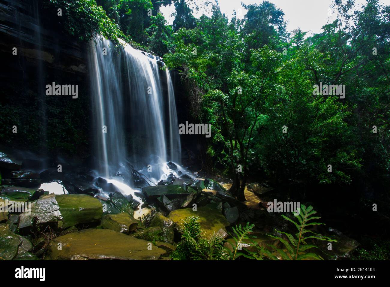 Jungle waterfall cascade in tropical rainforest Stock Photo - Alamy