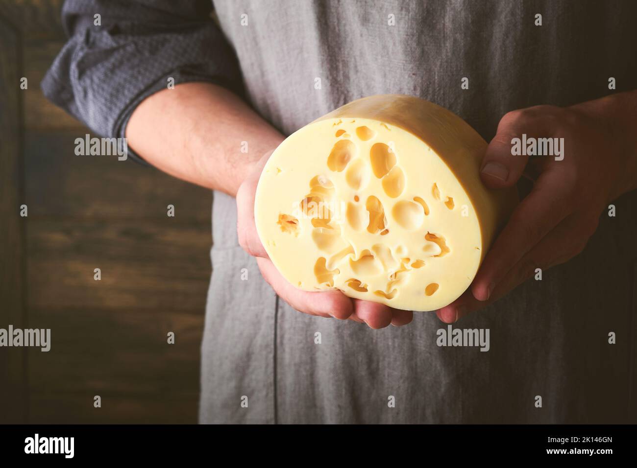 Hands of man hold two big slices of cheese maasdam against background ...