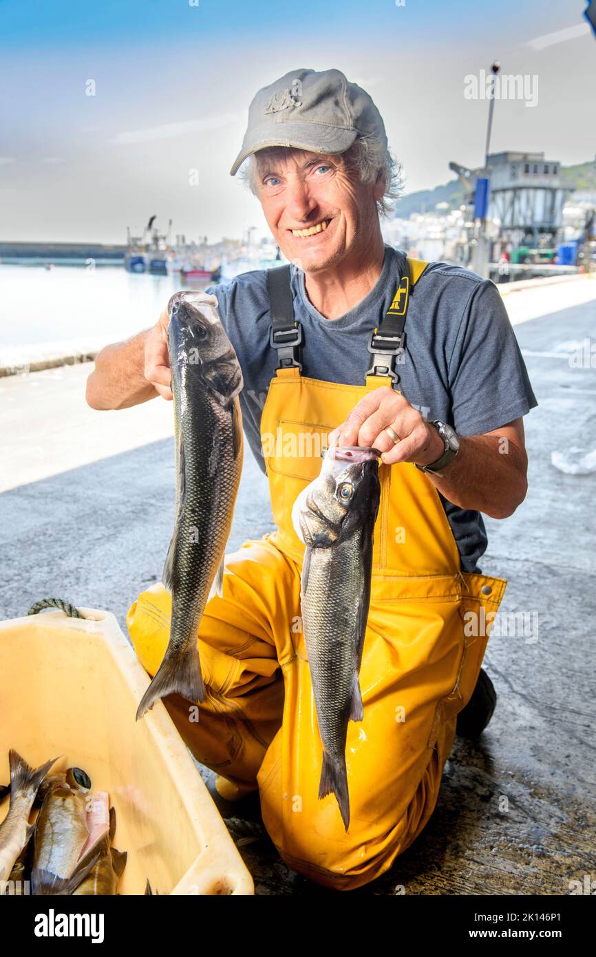 A fisherman with line caught Sea Bass and Pollock in Newlyn harbour in ...