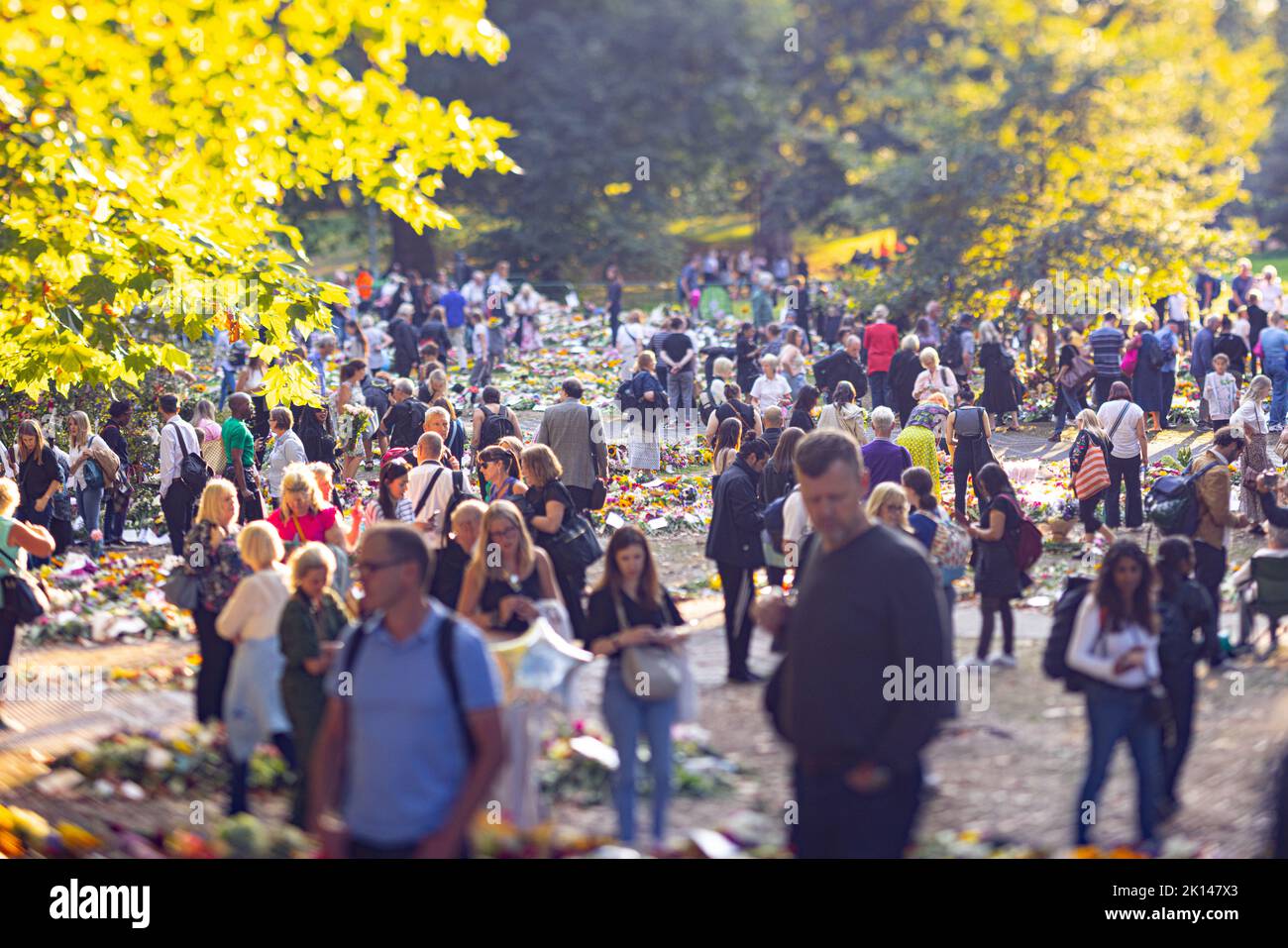 Crowds Pay Homage Stock Photo - Alamy