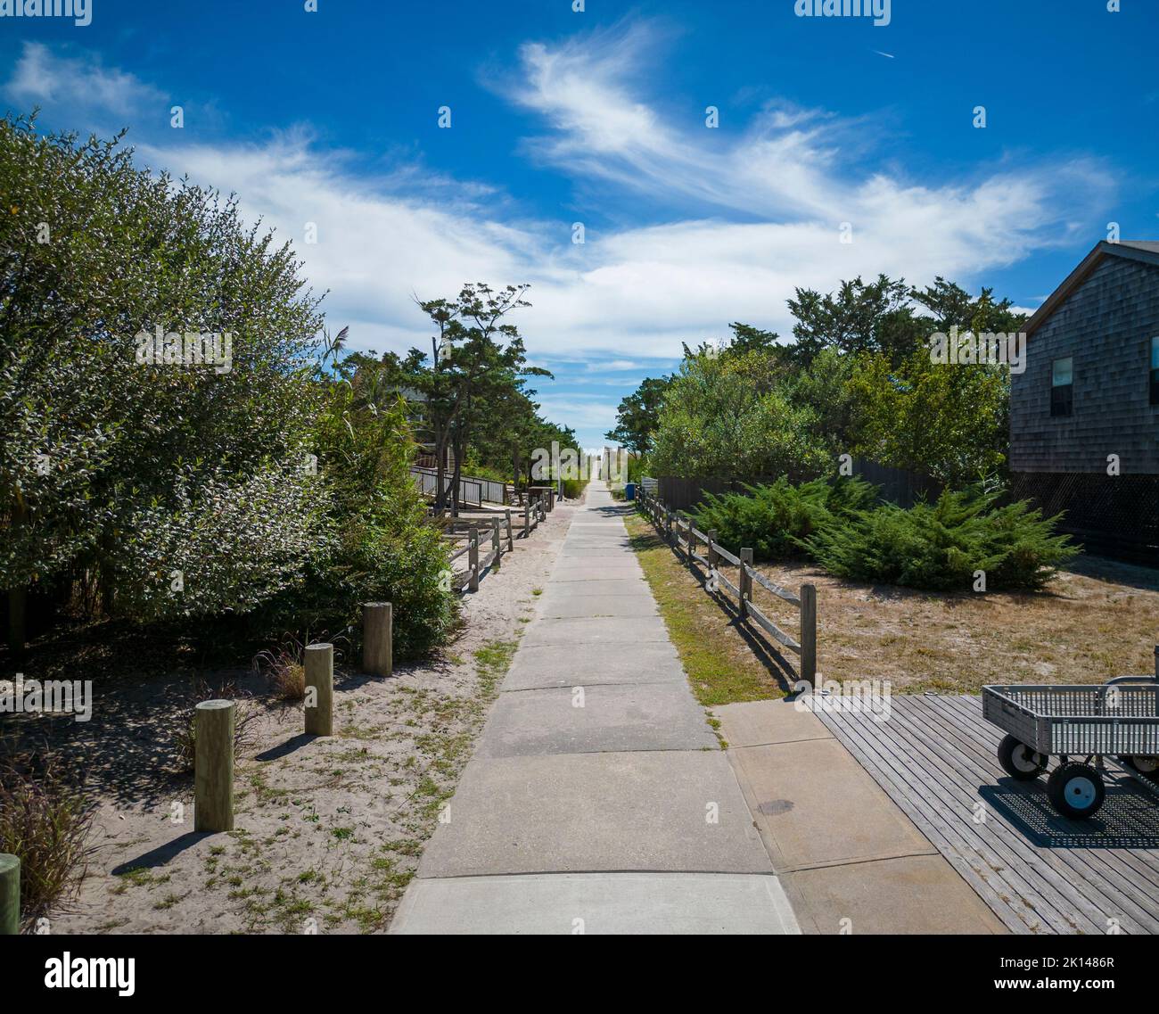 Looking down a cement walkway between summer homes that leads to a path ...