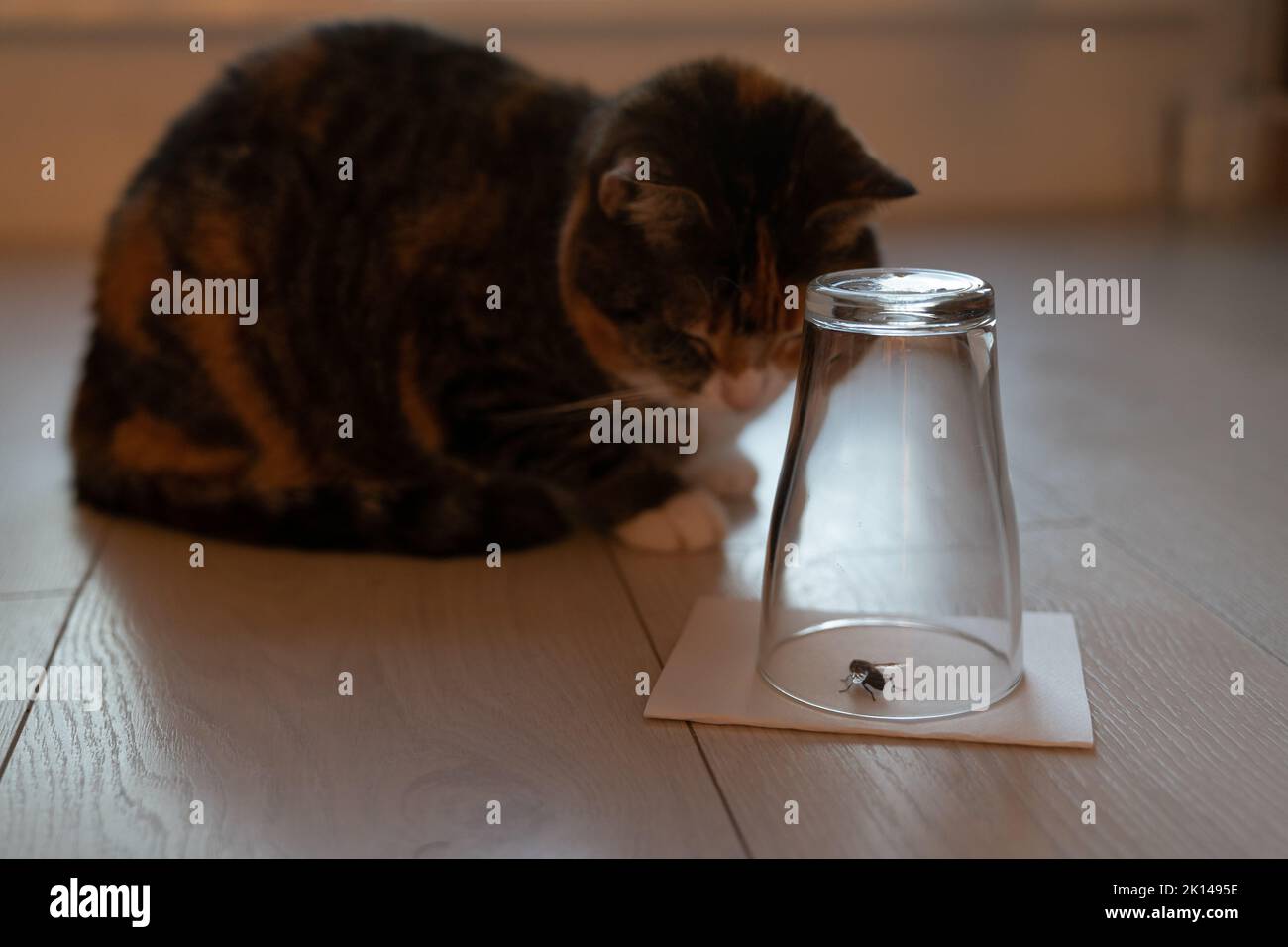 Inverted glass beaker hi-res stock photography and images - Alamy