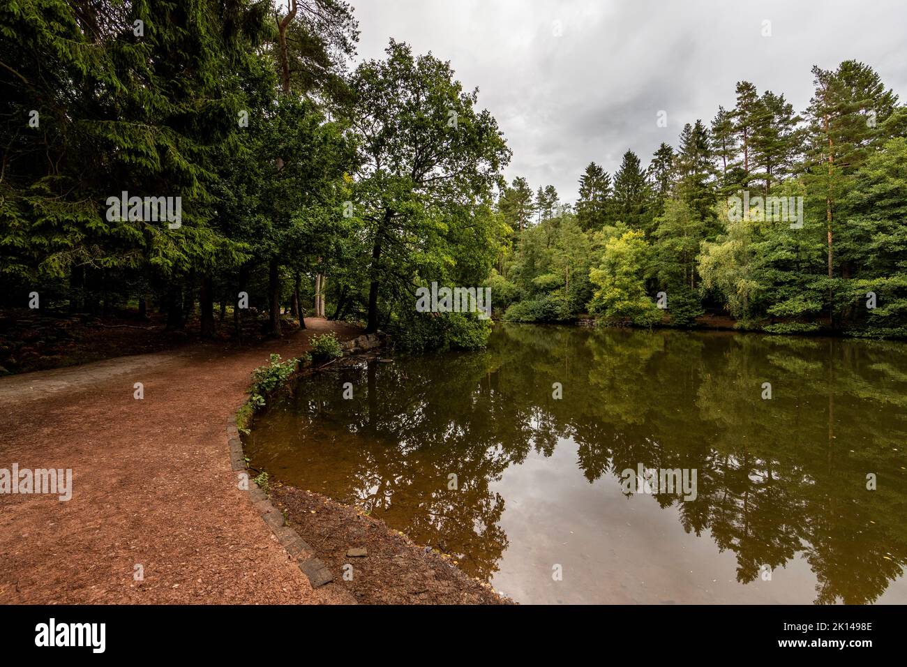 Mallards Pike lake, Forest of Dean, Gloucestershire. UK Stock Photo - Alamy