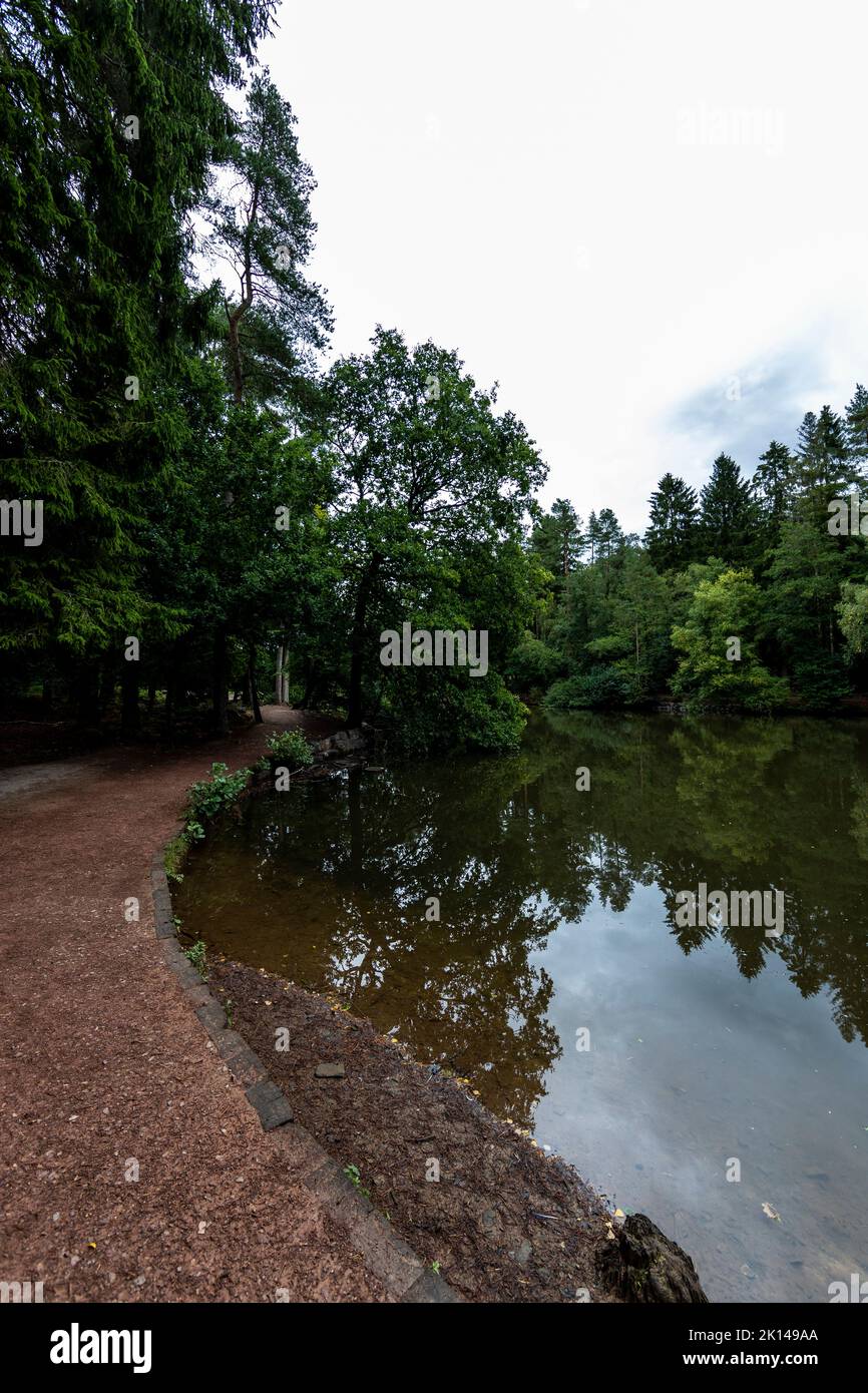 Mallards pike hi-res stock photography and images - Alamy