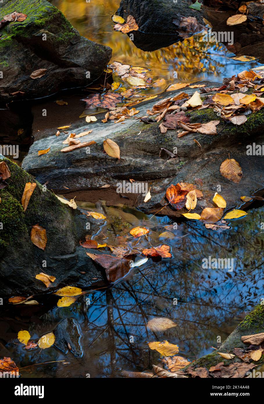 Sky and foliage reflects in the waters of the Middle Prong of the ...