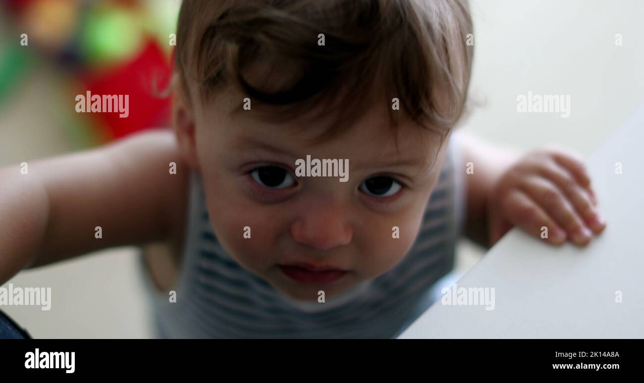 Cute baby toddler learning to stand holding into parent leg, infant one year old development ...