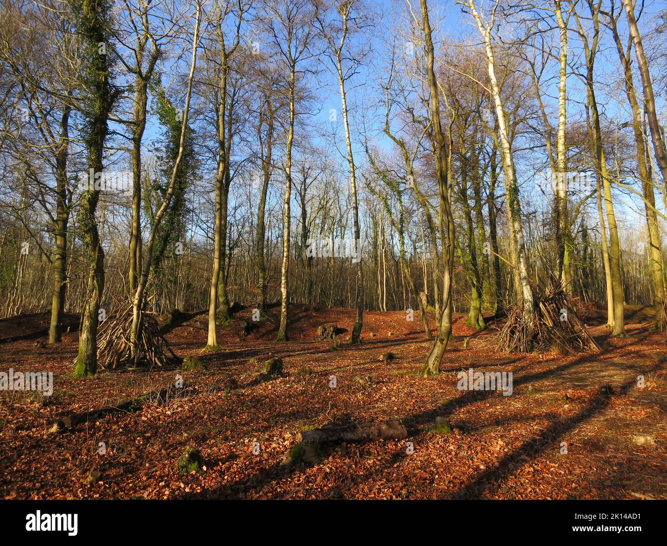 Cotswold Way long distance footpath National Trail. The Cotswolds AONB ...