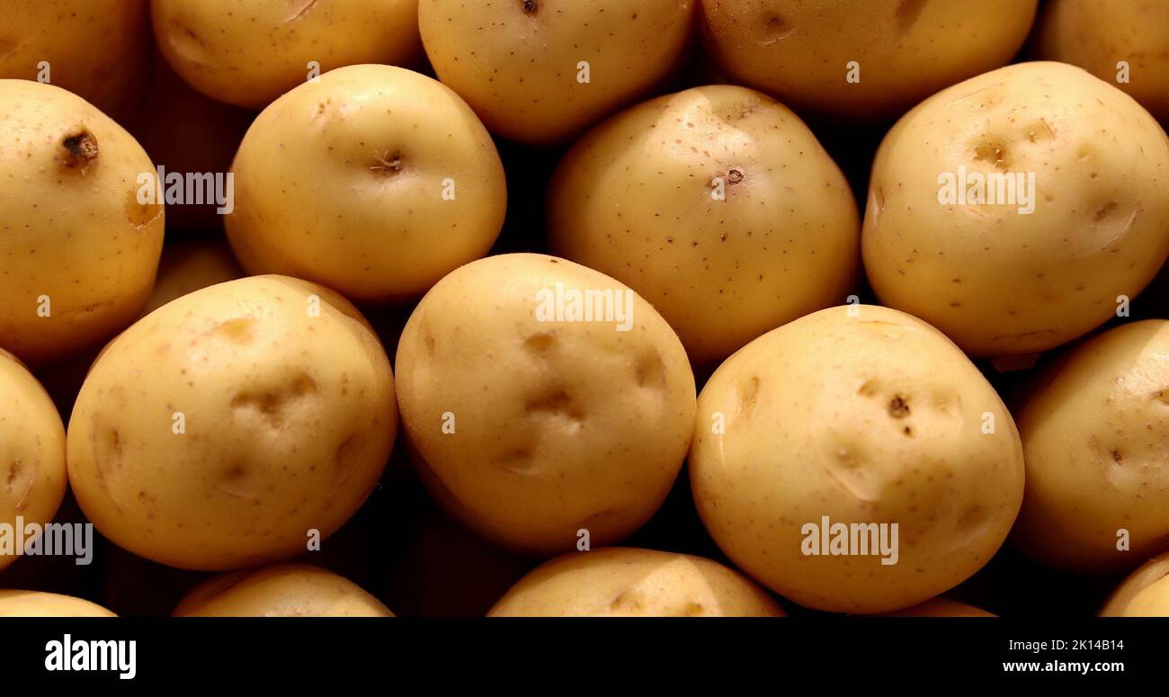 Pile of potatoes gathered together at grocery on display Stock Photo ...