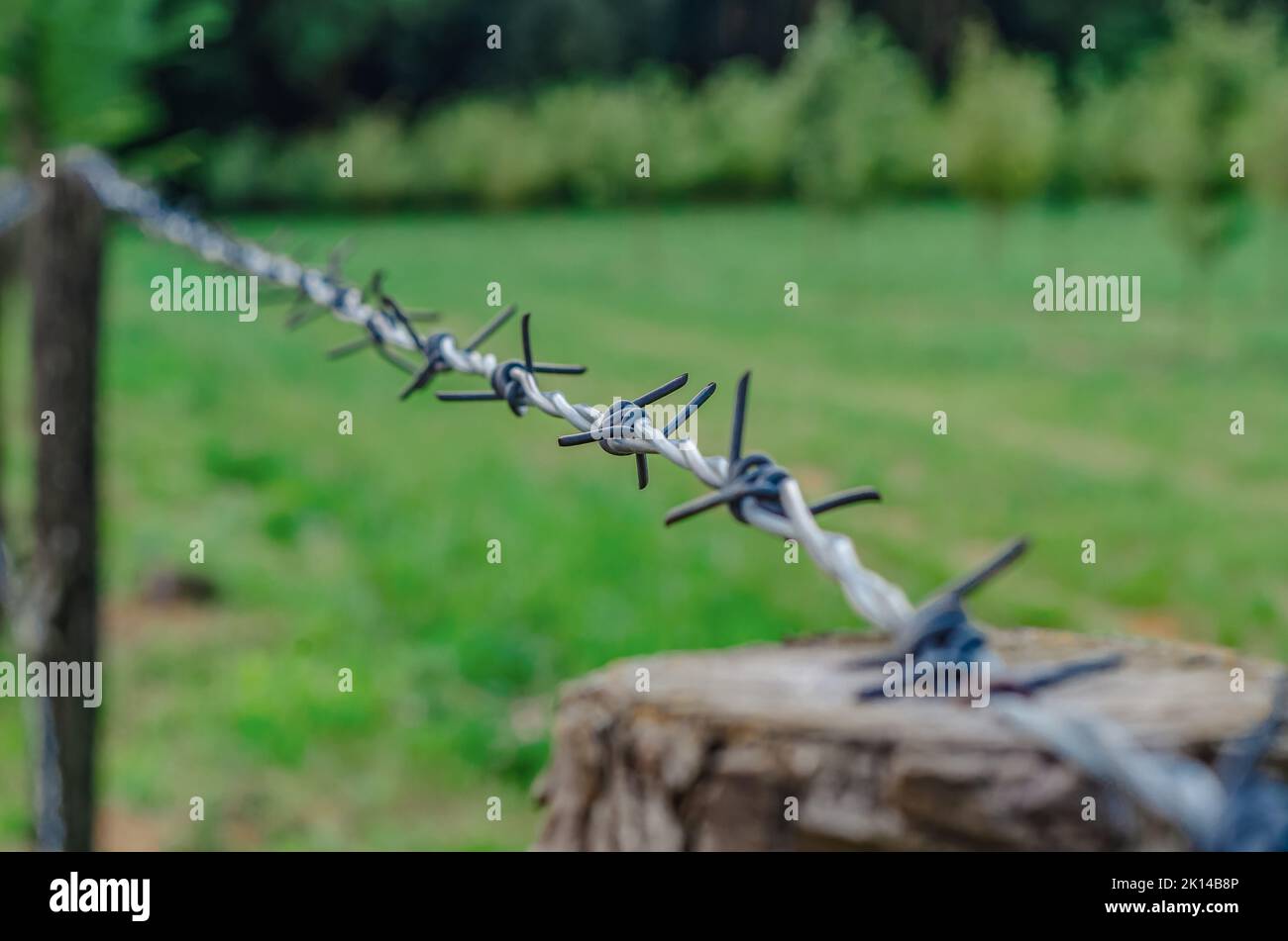 Barbed wire on wooden pole. Animal farm fence Stock Photo - Alamy