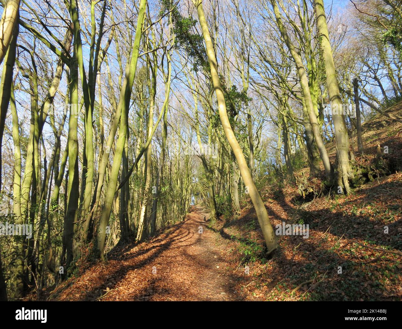 Cotswold Way long distance footpath National Trail. The Cotswolds AONB ...